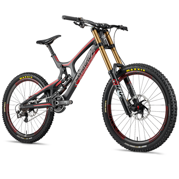 #1 Quality Clipping Path Services - Fast & Affordable